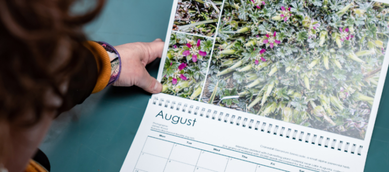 A guide to binding methods: Wire bound, stapled, and perfect binding ...